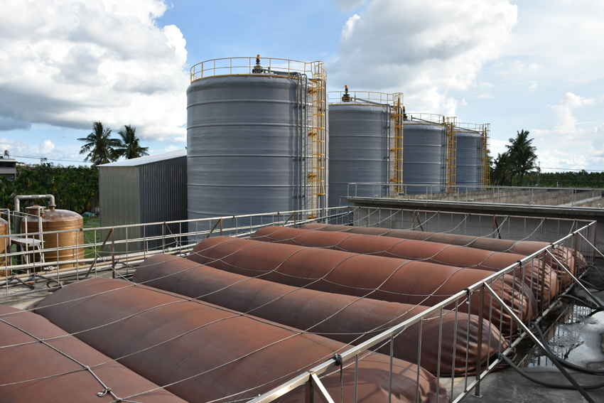 Algal Technology for Swine Wastewater Treatment in Pig Farm, Taiwan